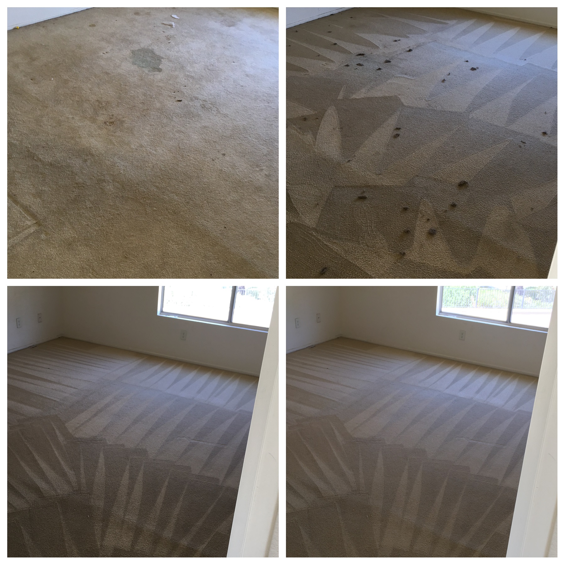 Temecula Ca Carpet Cleaning